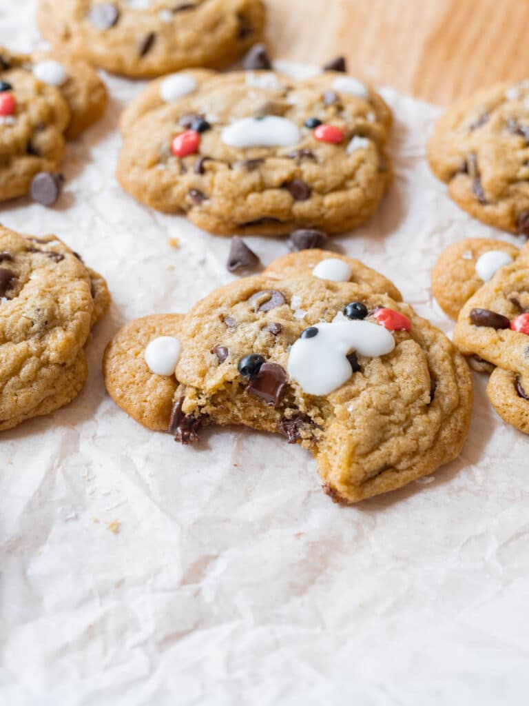 Chocolate Chip Teddy Bear Cookies (w/ Easy Icing!)
