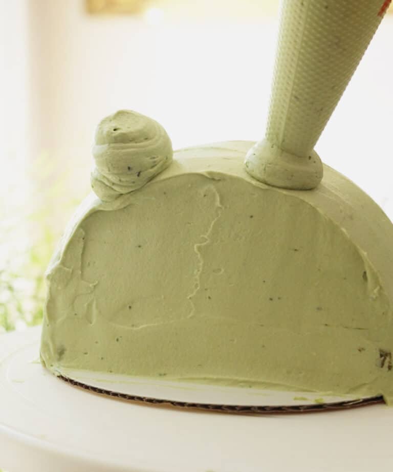 Frog Cake with Whipped Cream Frosting • Bites by Bianca