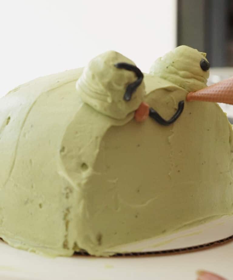 Frog Cake with Whipped Cream Frosting • Bites by Bianca