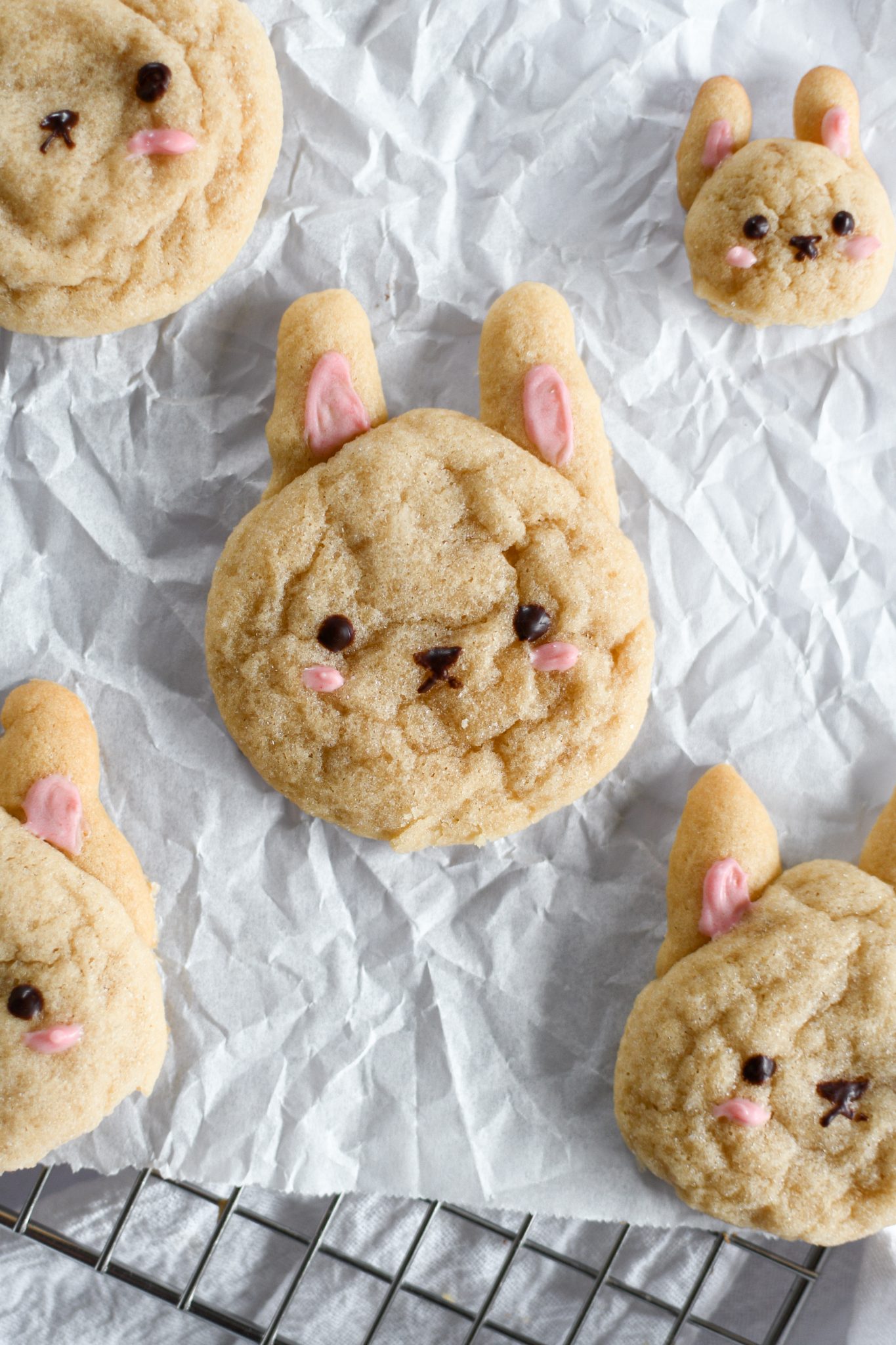 Easy Bunny Sugar Cookies