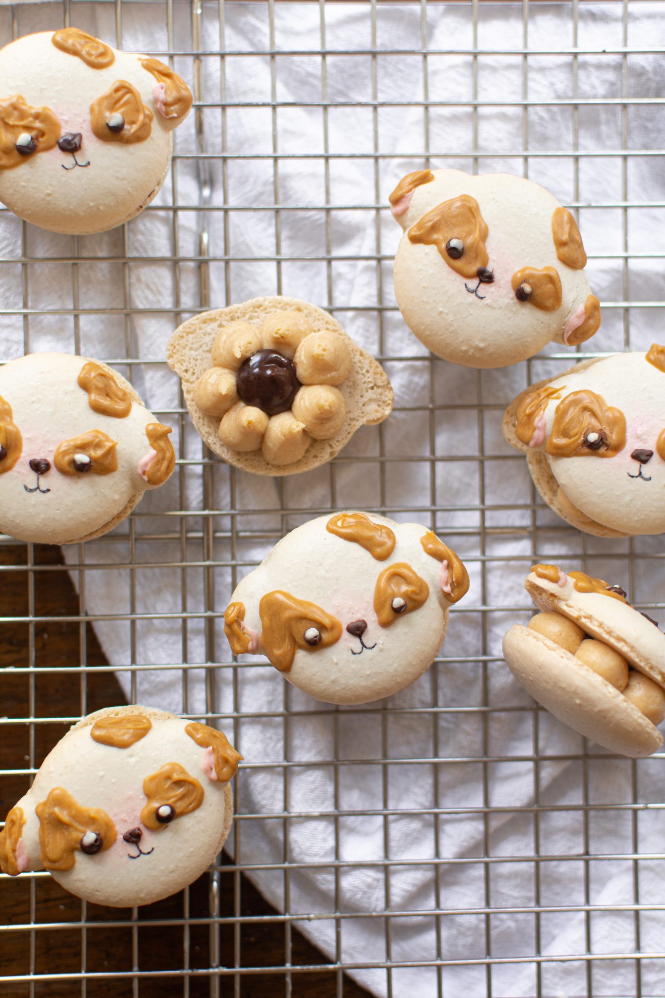 Dog Macarons with Peanut Butter Chocolate Filling (French Method ...